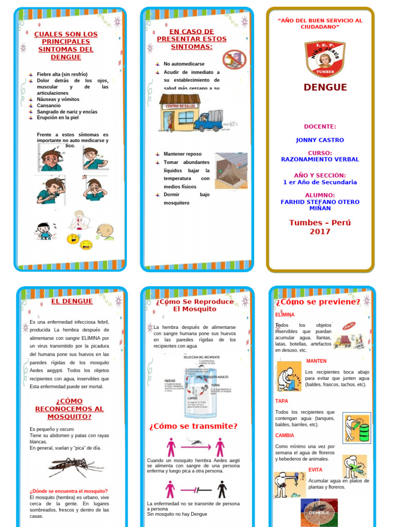 Triptico Dengue | PDF