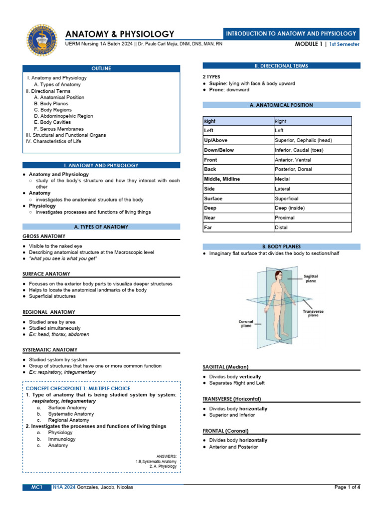 Anaphy Finals Reviewer | PDF