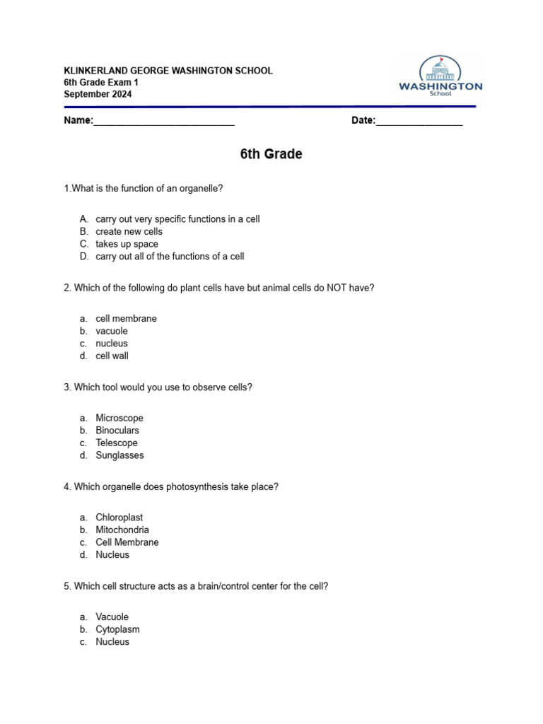 Exam 1 - 6th Grade | PDF