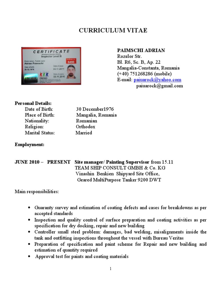 CV Paimschi Adrian CV | PDF | Ships | Industries