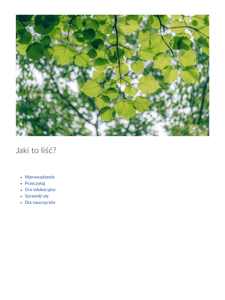 Jaki - To - Lisc 2 | PDF