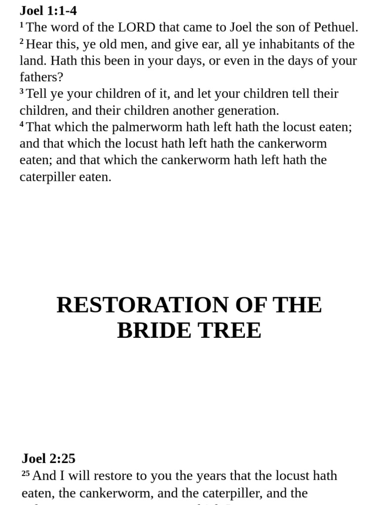 Restoration of The Bride Tree | PDF