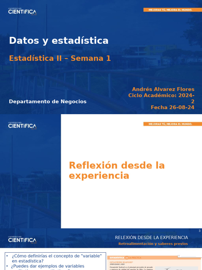 EII - Sesión 01 - Tipos de Variables 2024 | PDF