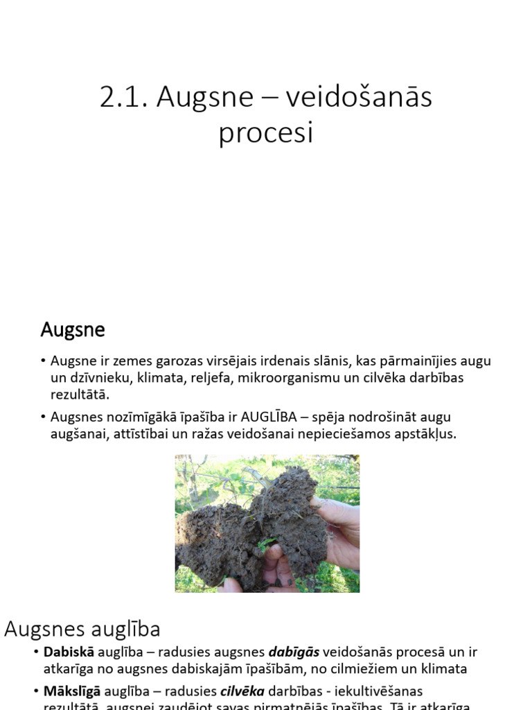 2.un 3. Augsne | PDF