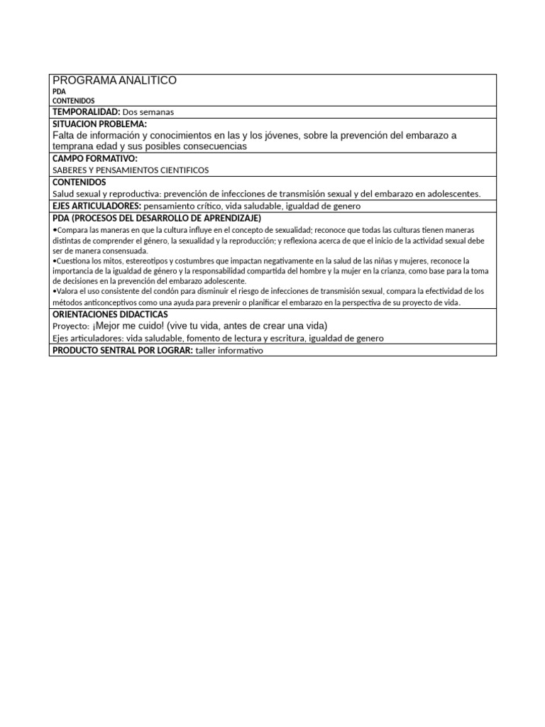 Programa Analitico | PDF