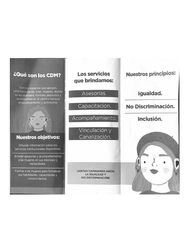 ¿Qué Son Los CDM | PDF