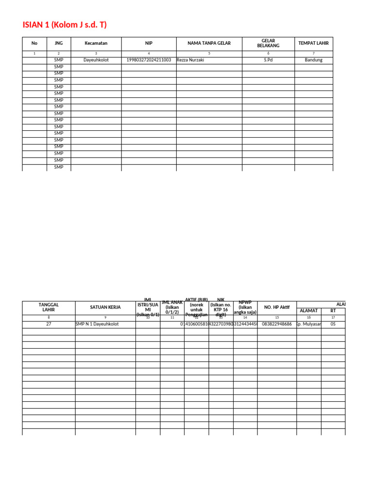 Form - Isian P3K 11 | PDF