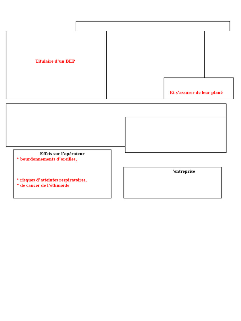 Correction Schema Comprehension de Maxime | PDF