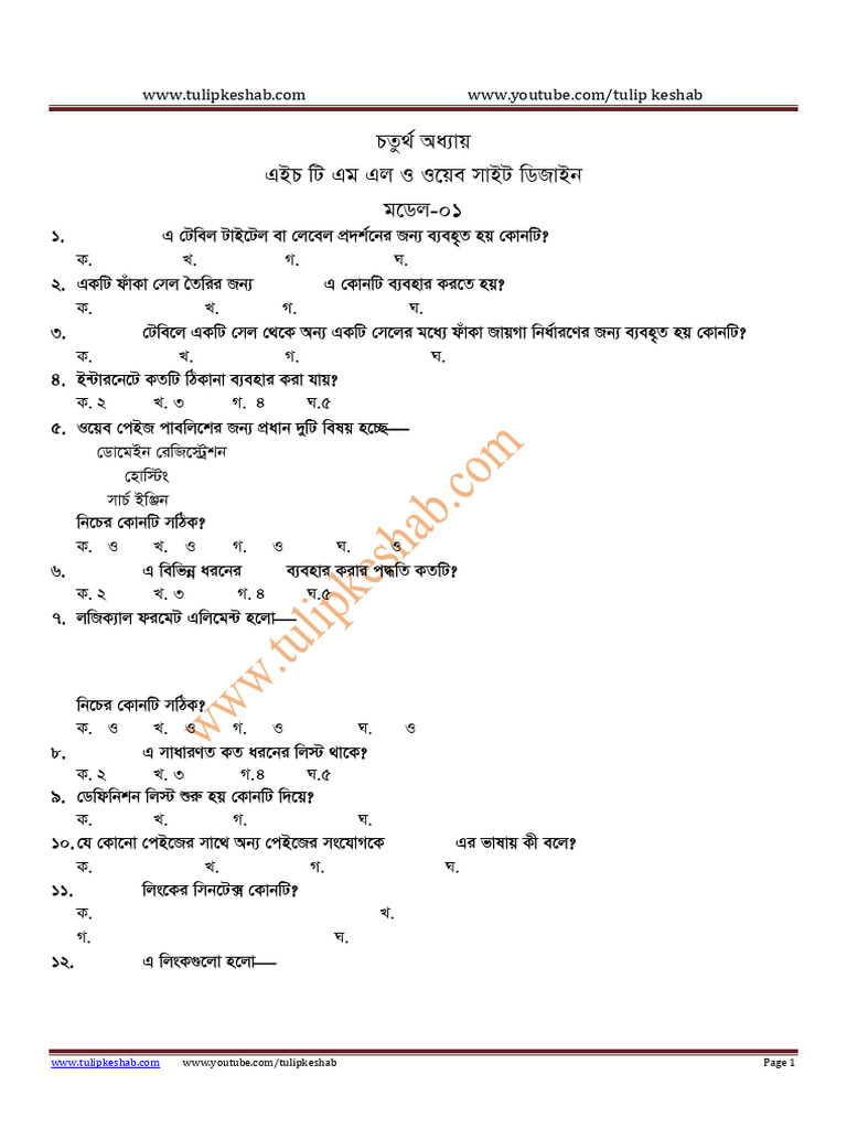 MCQ Chapter 04Model 01 | PDF