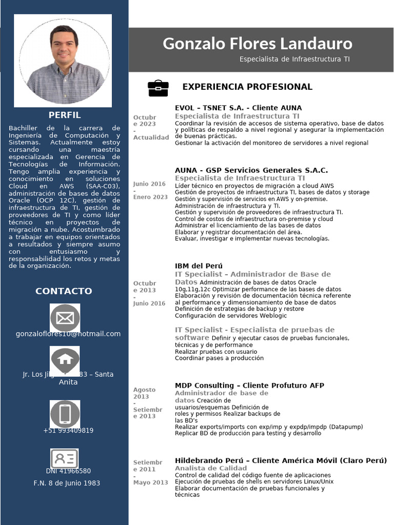 Gonzalo Flores Landauro: Perfil | PDF | Data Management Software | Computing