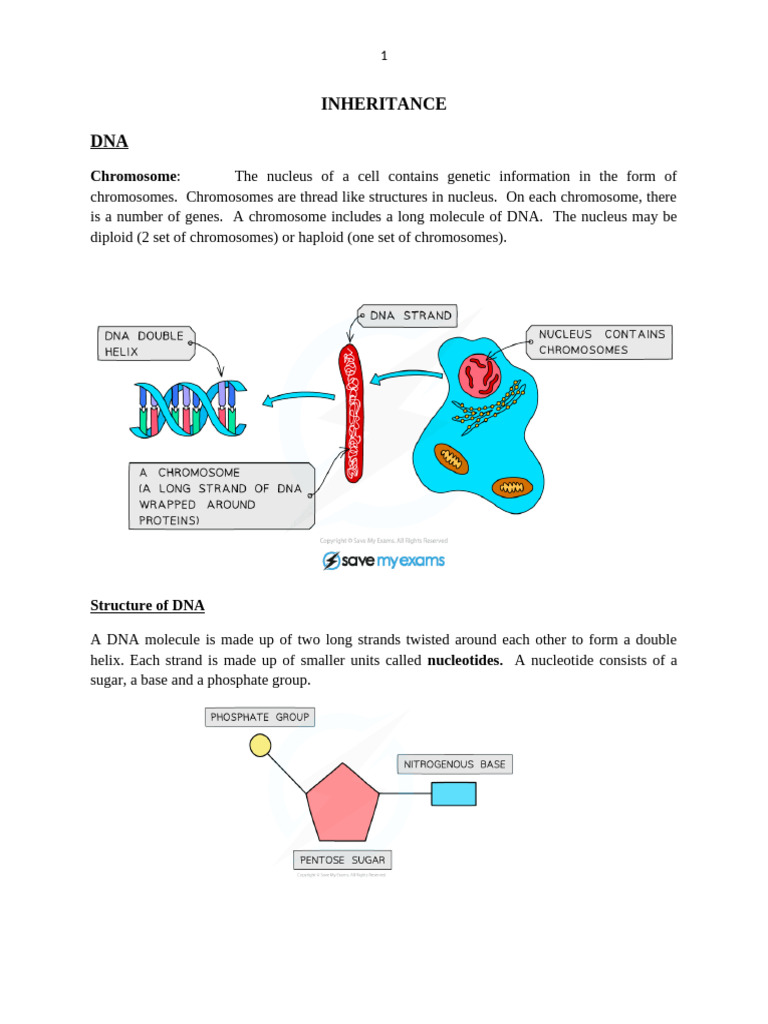 Chapt 17 - Inheritance | PDF