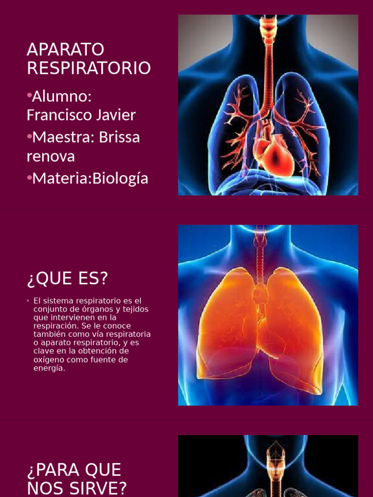 APARATO RESPIRATORIO | PDF