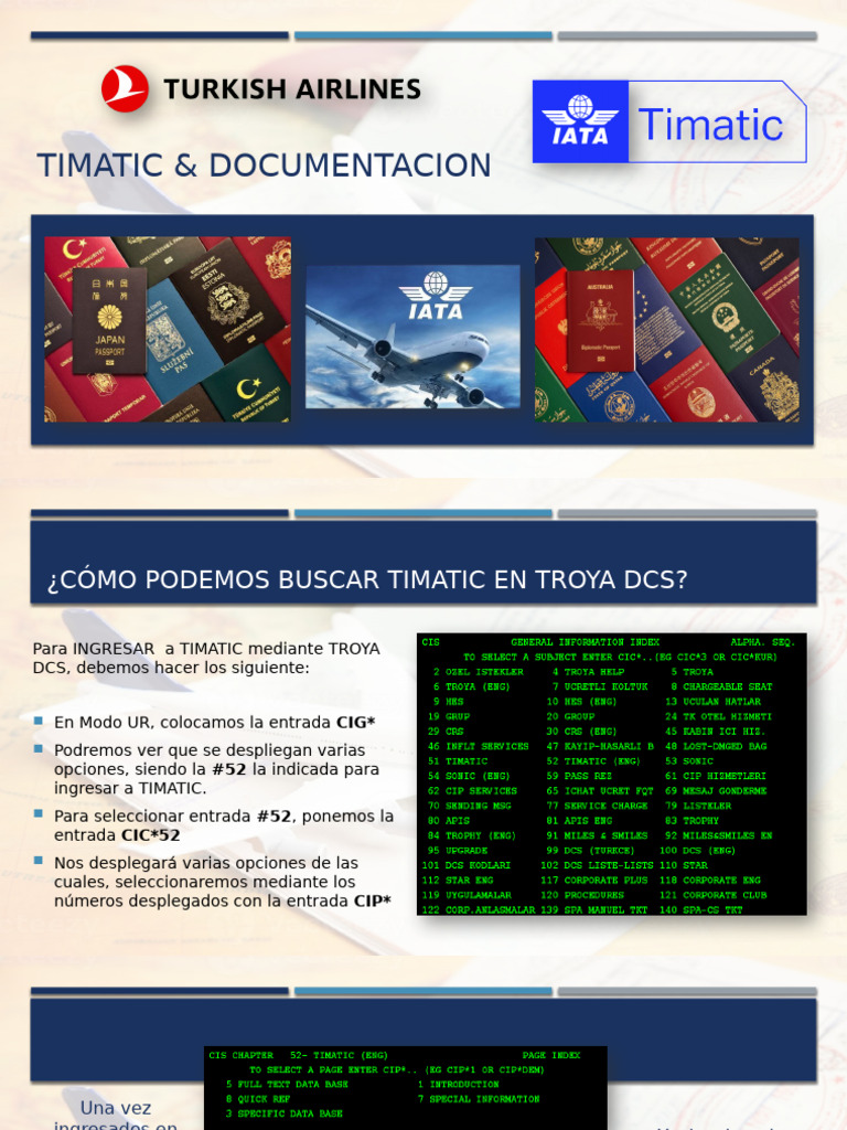 Timatic & Documentacion | PDF