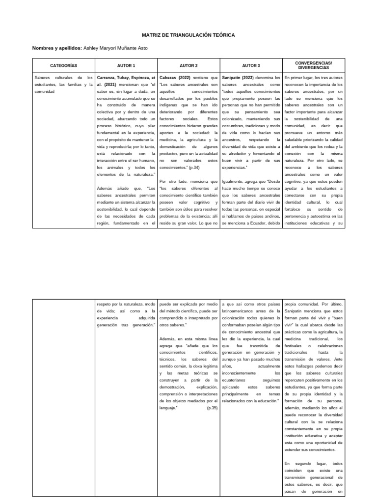 Matriz de Conceptos | PDF