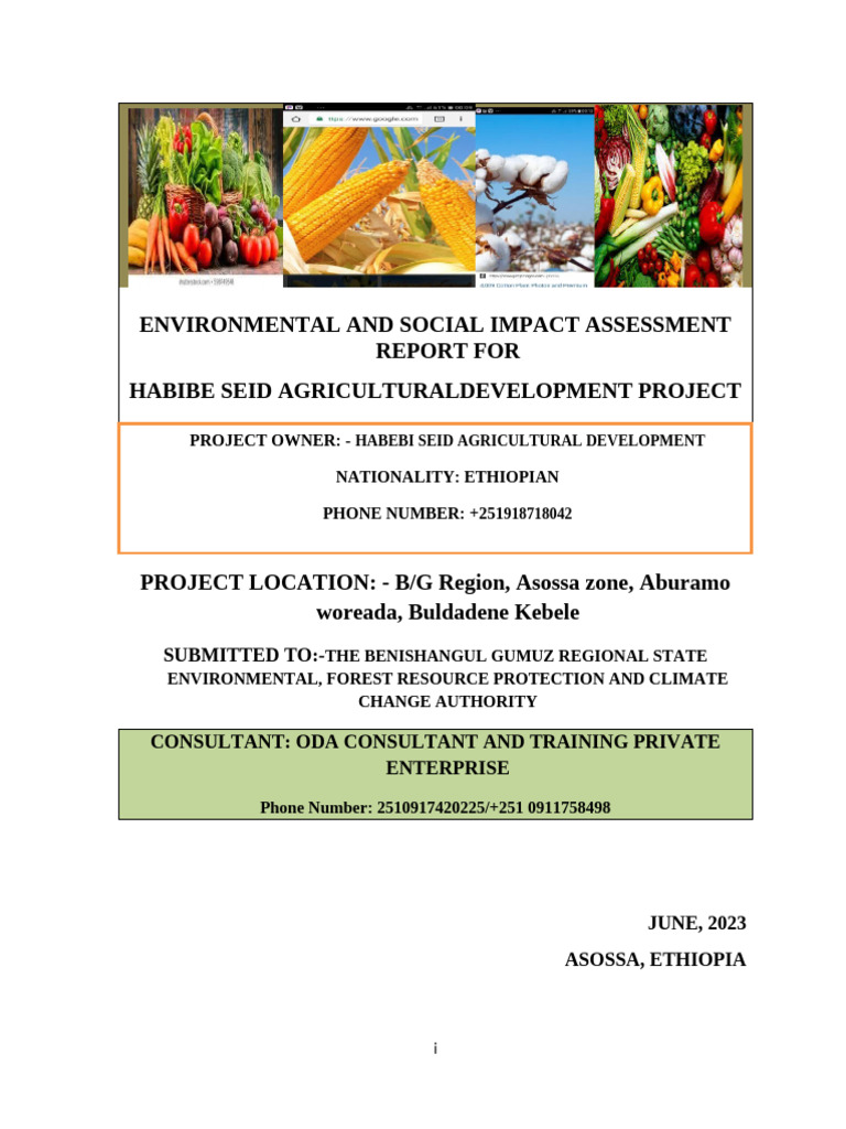 Habebe Seid Agricultural EIA Report | PDF | Environmental Impact Assessment | Home & Garden