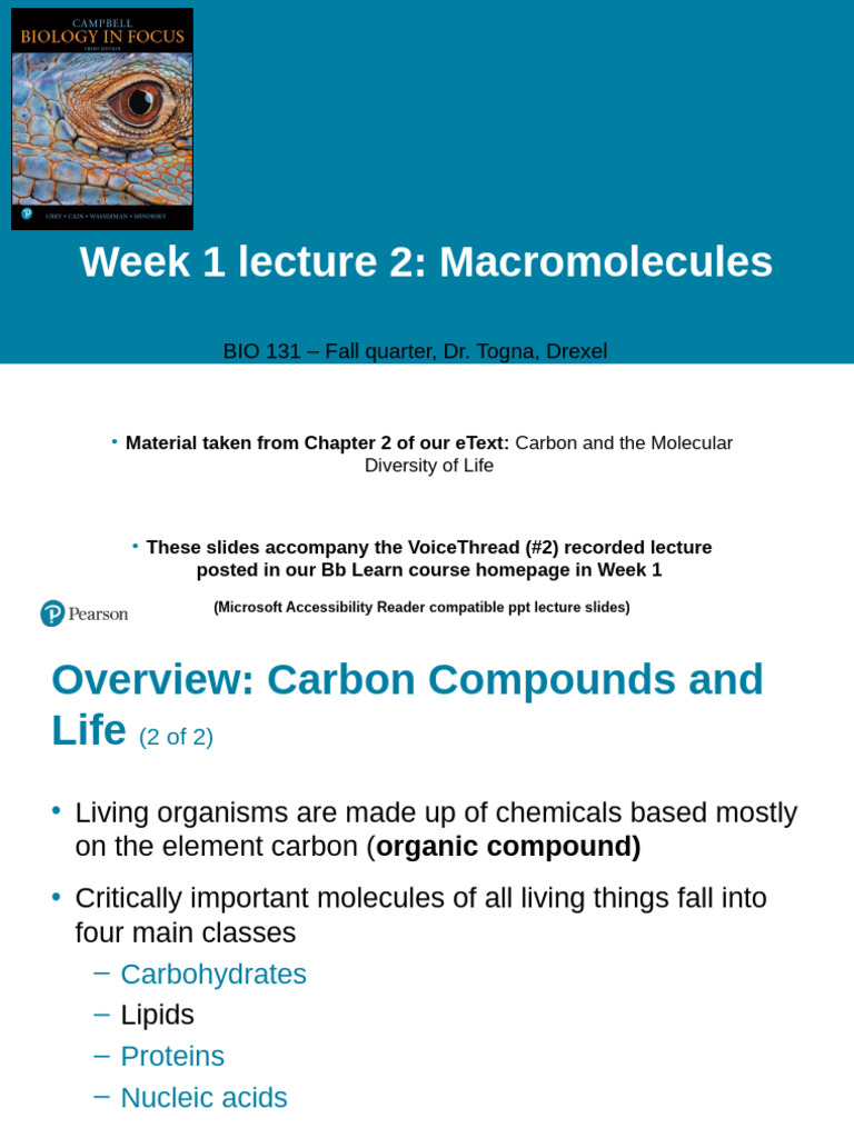 Week 1 Lecture 2 - Macromolecules Updated (1) Notes | PDF