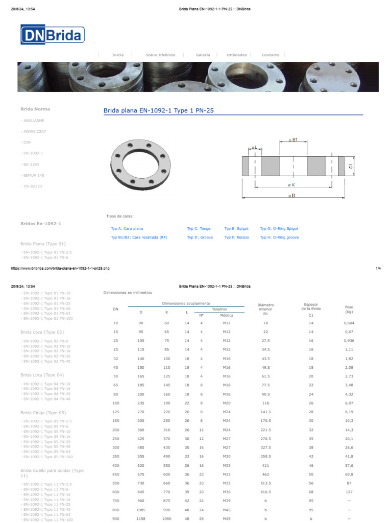 Brida Plana EN-1092-1-1 PN-25 - DNBrida | PDF
