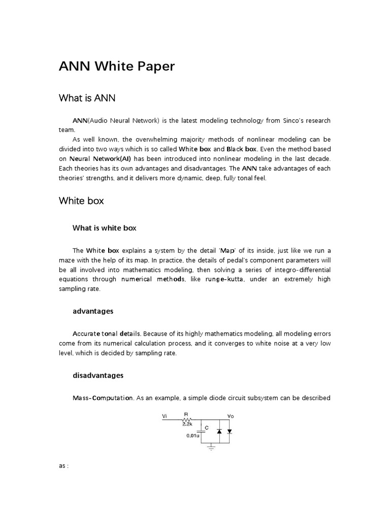 ANN White Paper | PDF