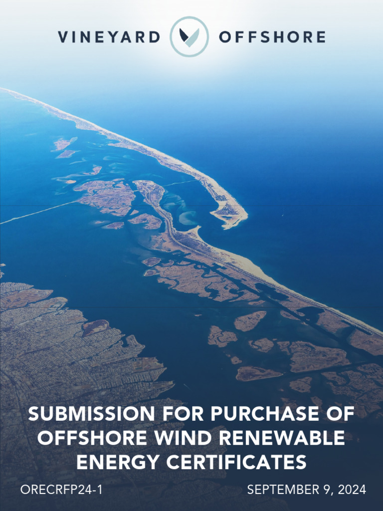 VIN_Public Executive Summary (2) | PDF | Offshore Wind Power | Wind Power