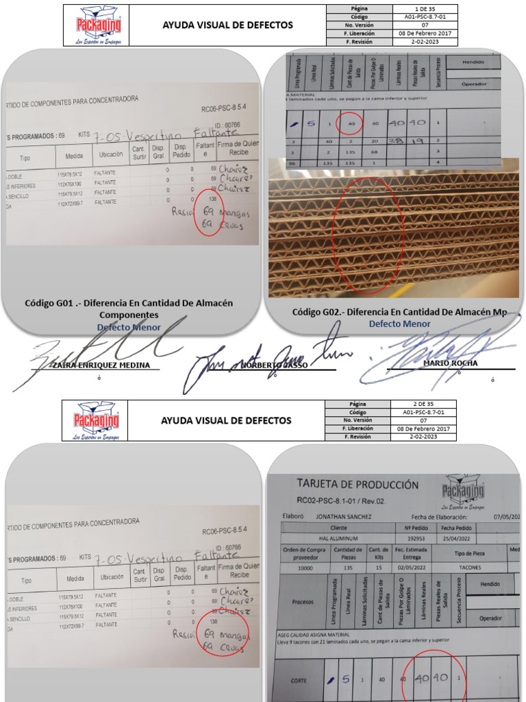 A01-PSC-8.7-01 Ayuda Visual de Defectos V.07 | PDF