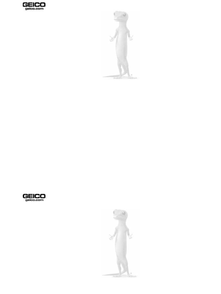 Insurance Geico | PDF