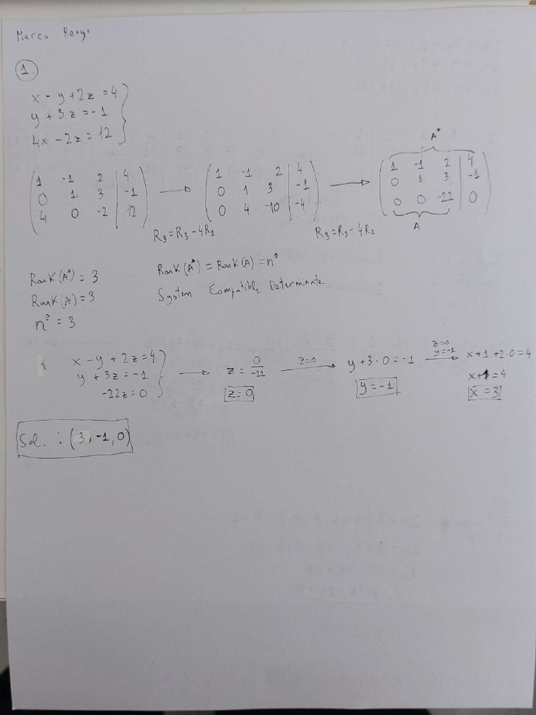 Individual Activity 3, Systems of Linear Equations | PDF