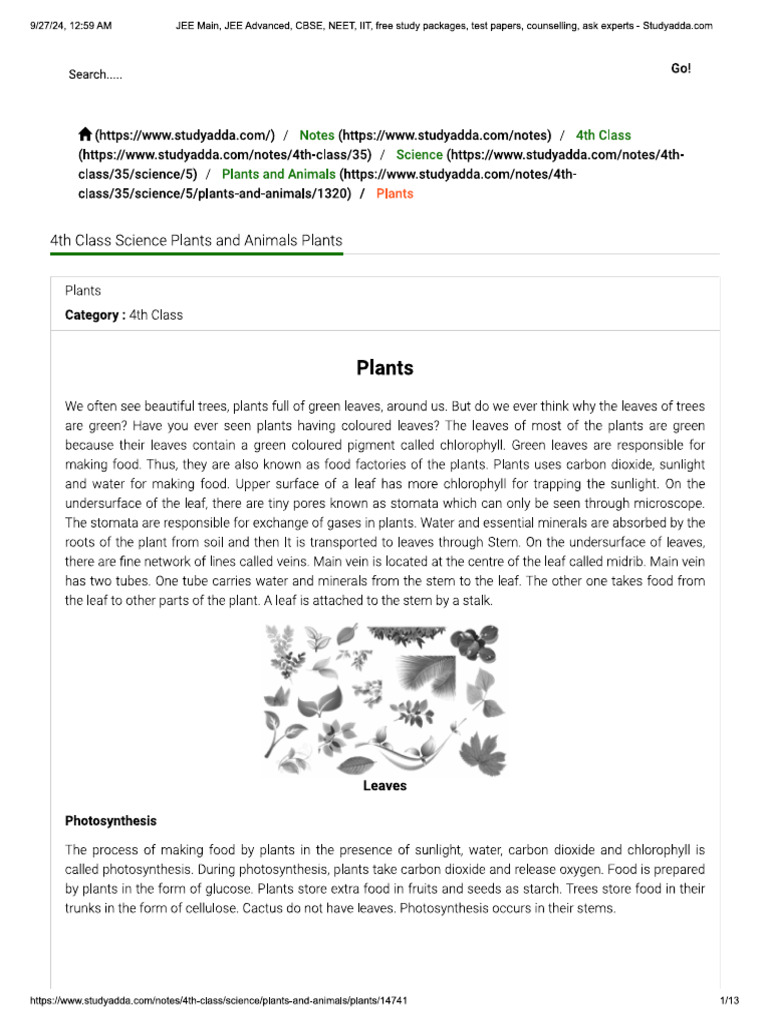 Notes Plants | PDF