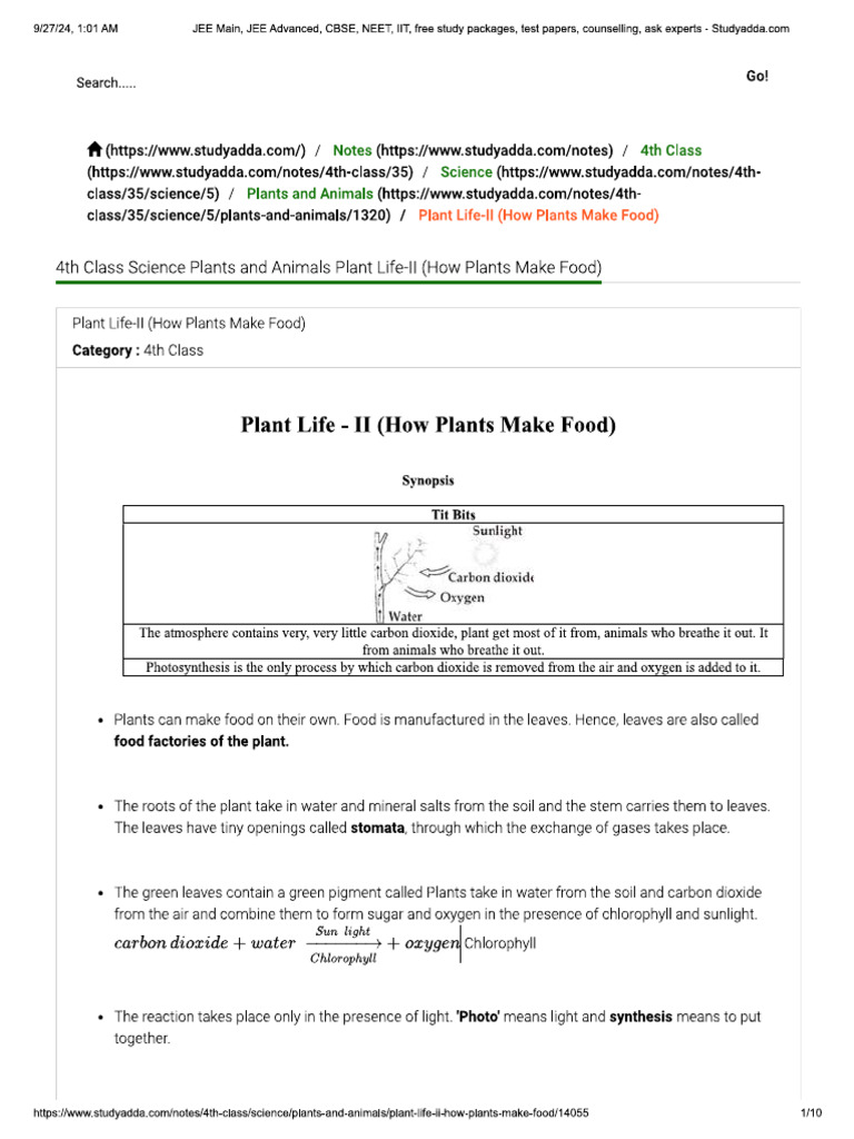How Plants Make Food | PDF