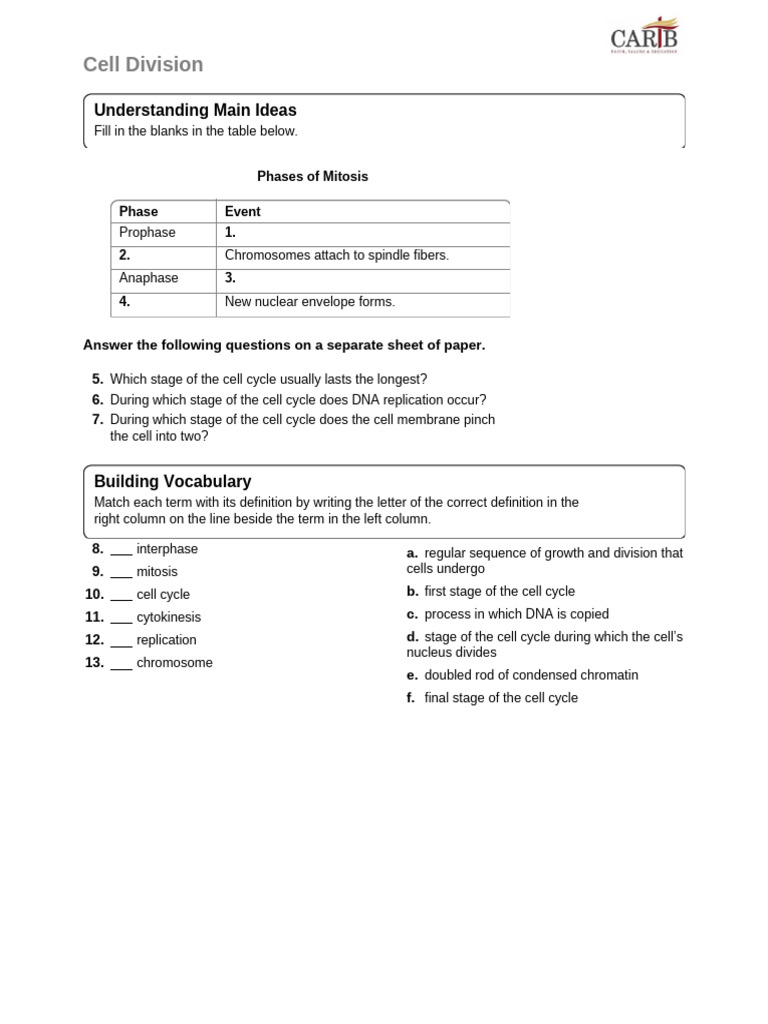 Cell Division 2 | PDF