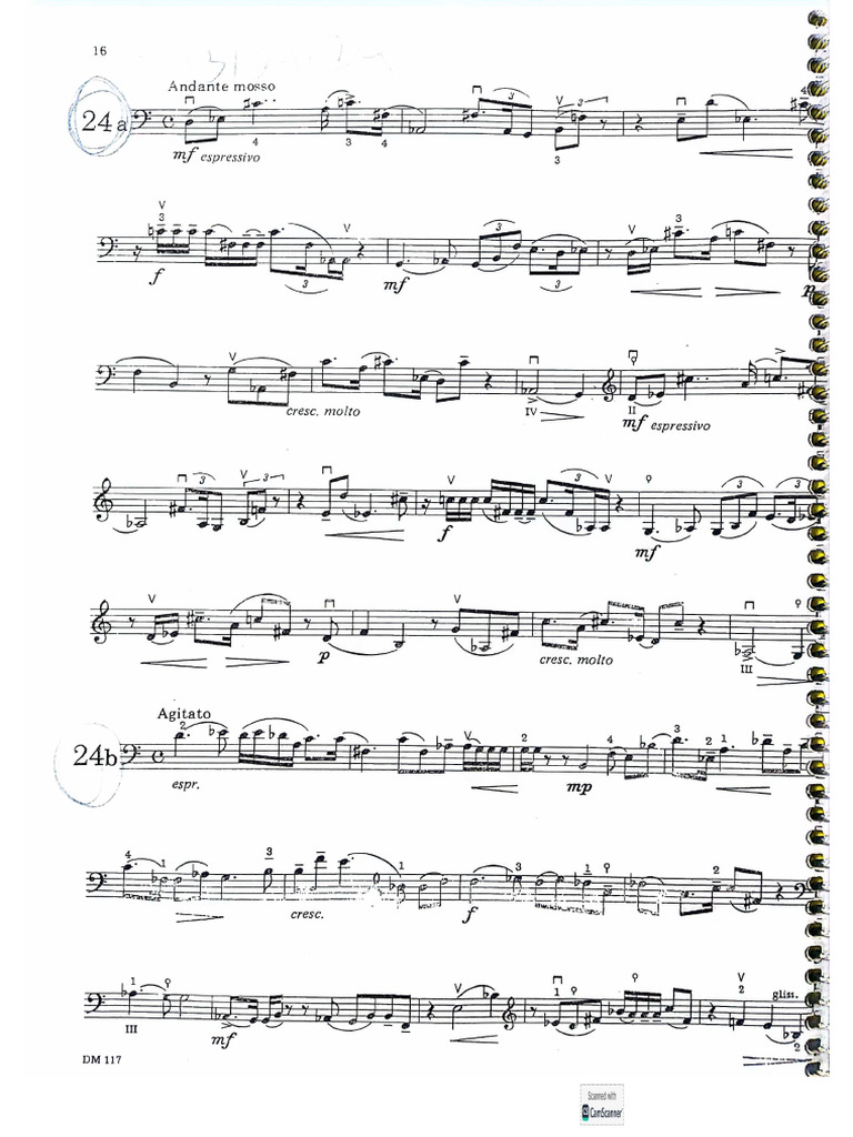 Cello Neck Position | PDF