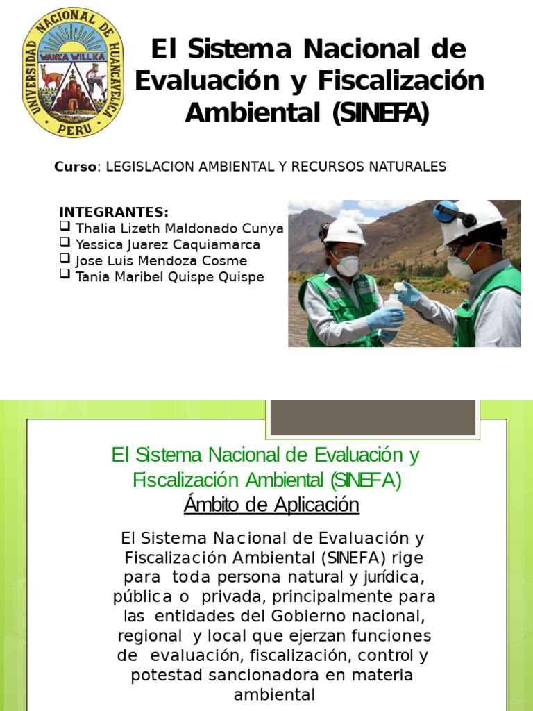 SINEFA y Fiscalizacion Ambiental | PDF
