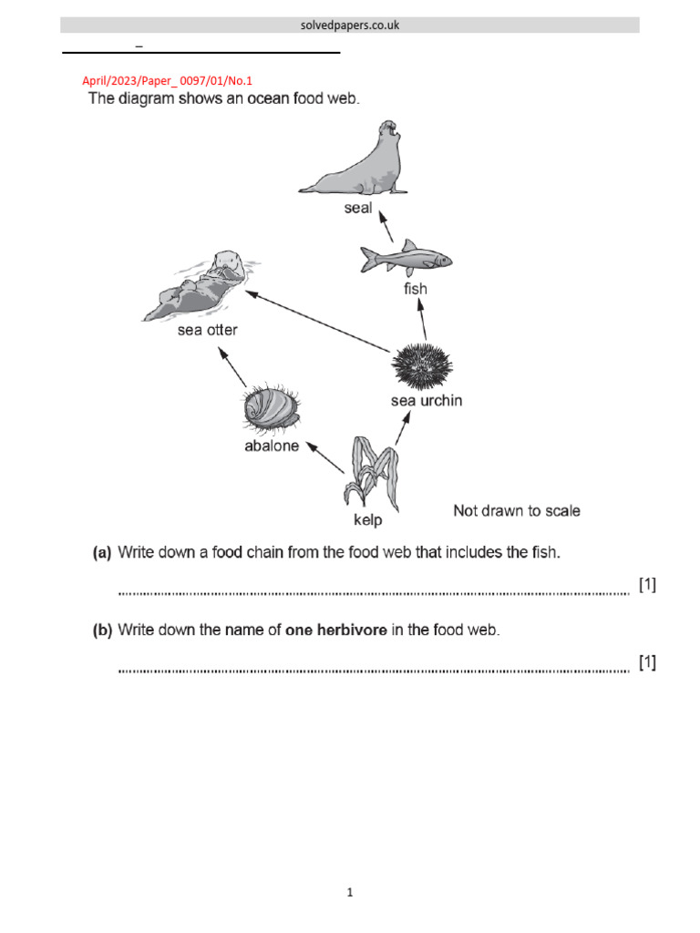 2023 Food Chains Checkpoint Primary Biology | PDF