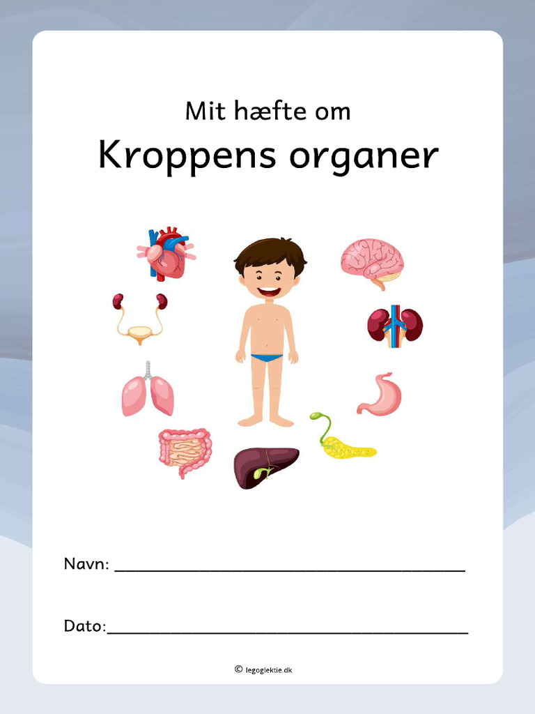 Kroppens-organer | PDF