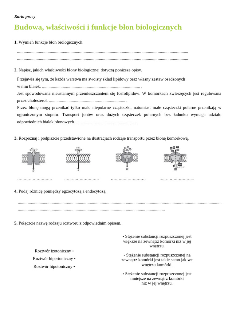Budowa Wlasciwosci I Funkcje Blon Biologicznych Karta Pracy | PDF