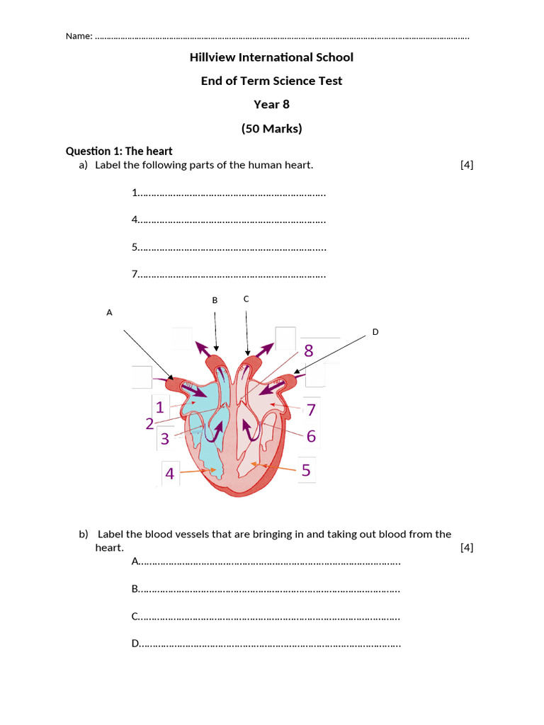 Year 8 Science Test 2 | PDF