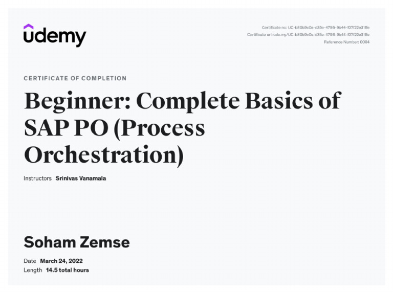 Udemy SAP Po Beginner Certificate | PDF