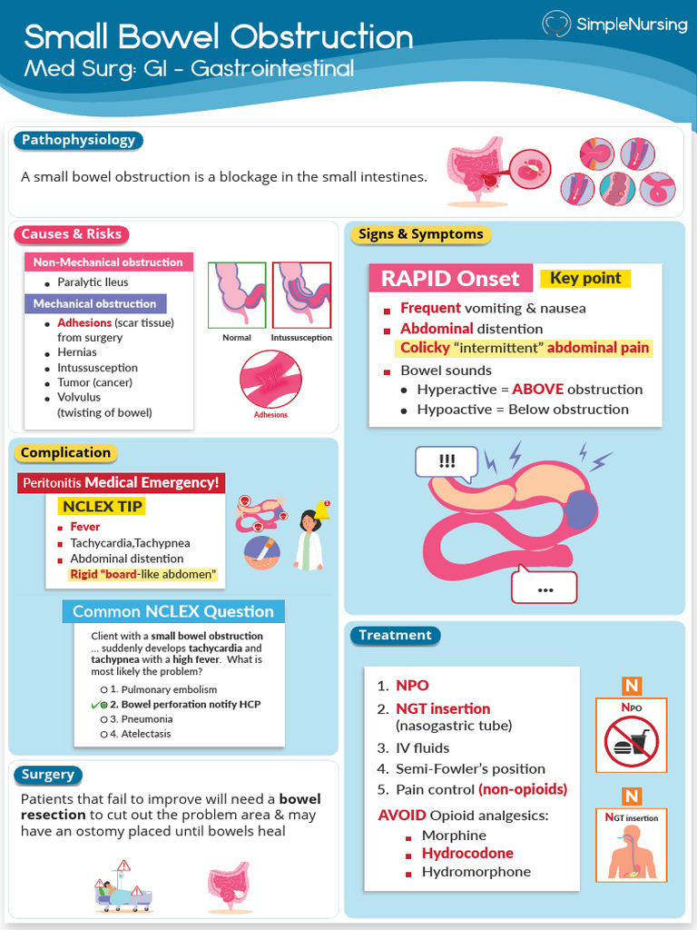 1.6 SBO - Small Bowel Obstruction | PDF