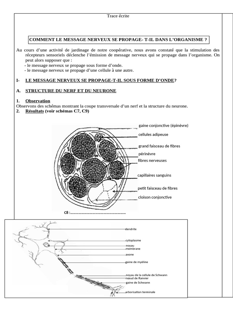 lecon 1 pour les élèves | PDF