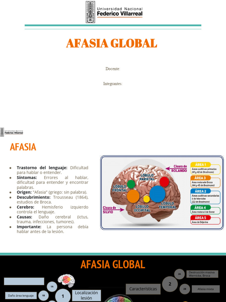 AFASIA GLOBAL | PDF
