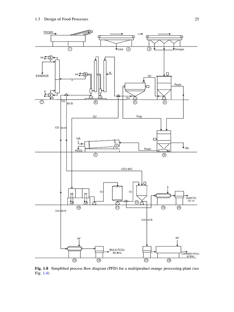 Design of Food Process | PDF