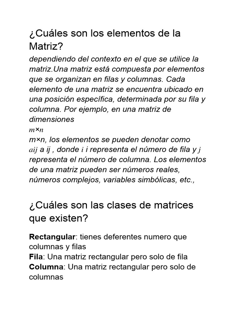 ¿Cuáles Son Los Elementos de La Matriz | PDF