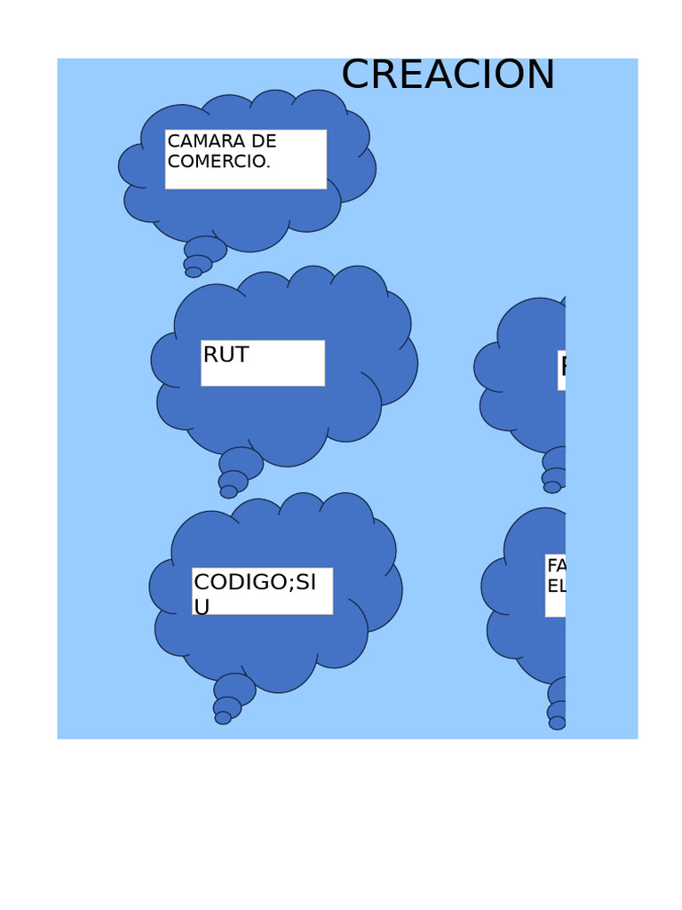 The Ceo - Josè Snaitago Forero Brausin | PDF