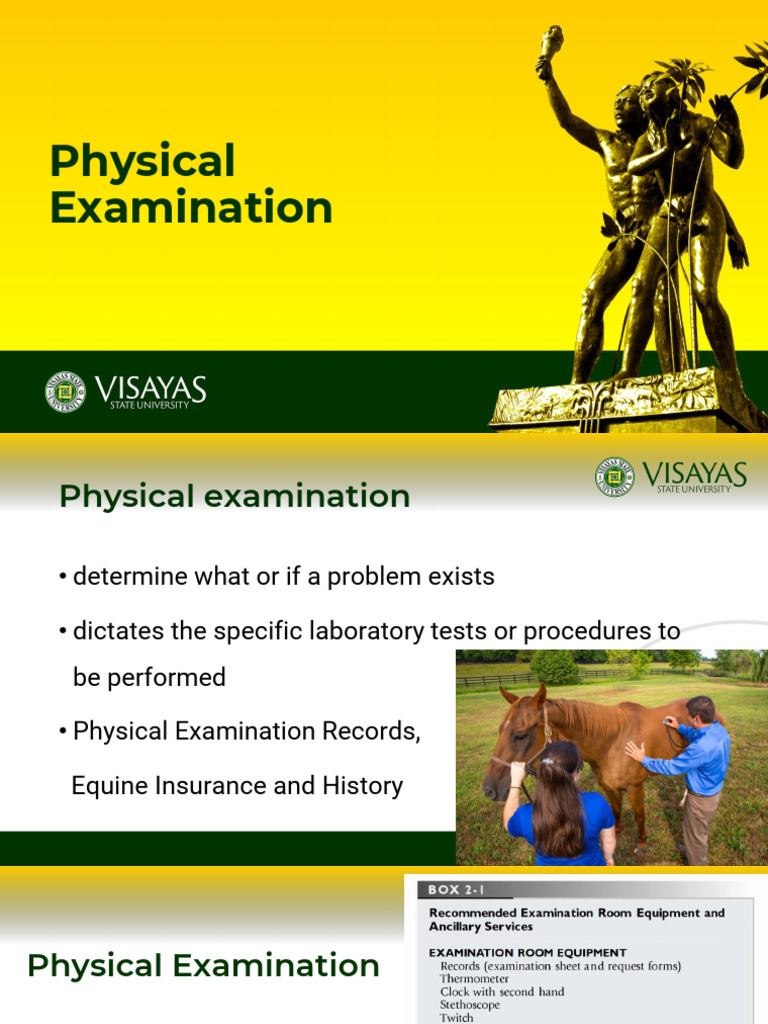 1 Physical Examination | PDF
