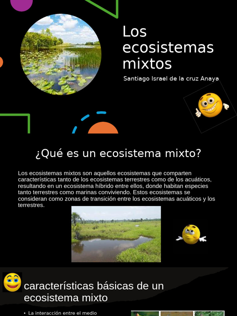 El Ecosistema (Práctica) | PDF