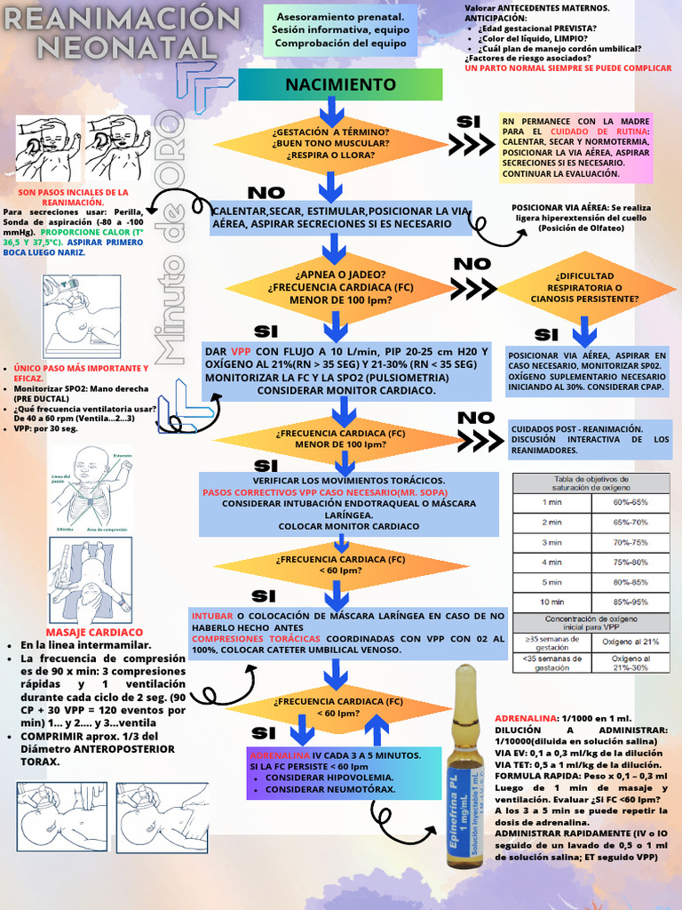 Algoritmo Reanimacion Neonatal | PDF | Reanimación cardiopulmonar | Enfermedades y trastornos