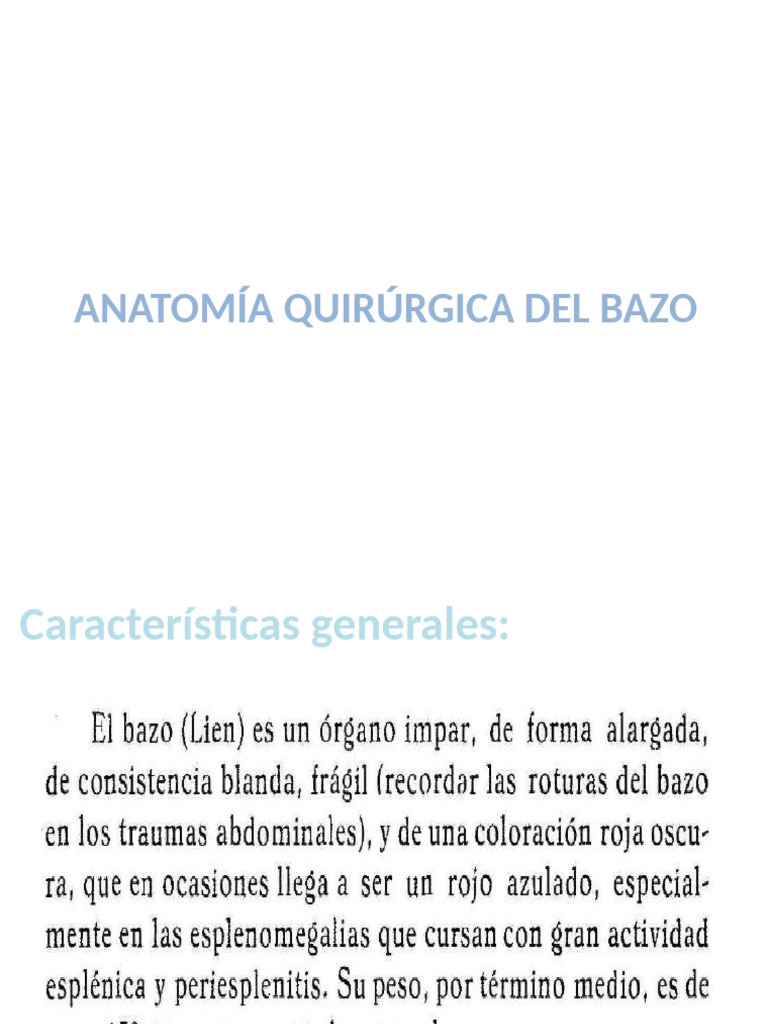 Anatomía Quirúrgica Del Bazo | PDF