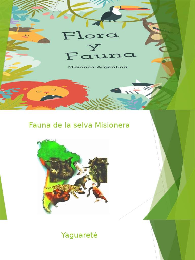 Flora y Fauna de Misiones | PDF