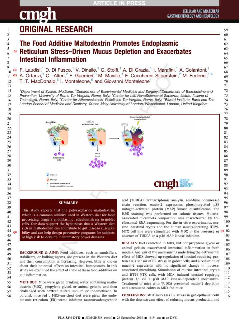 The Food Additive Maltodextrin Promotes Endoplasmic Q2 Reticulum Stress ...