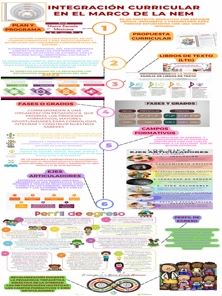 INTEGRACIÓN CURRICULAR EN EL MARCO DE LA Nem | PDF