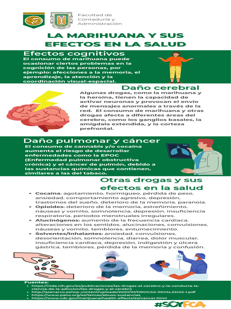 La Marihuana Y Sus Efectos En La Salud Pdf